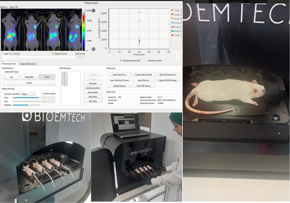 Simultaneous imaging of 4 mice with the "large field of view γ-eye ...