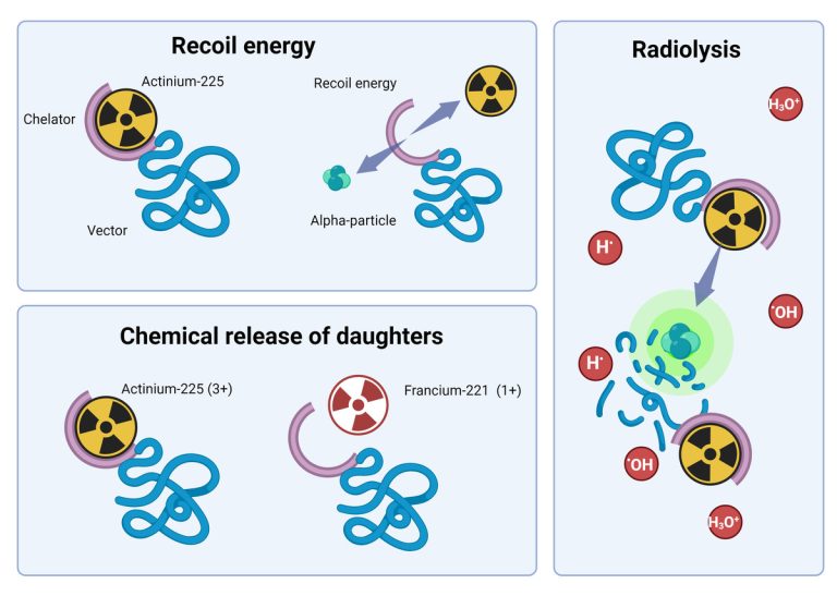 Working with Αctinium-225 - Bioemtech | Enabling radiopharmaceutical innovation through CRO and ...