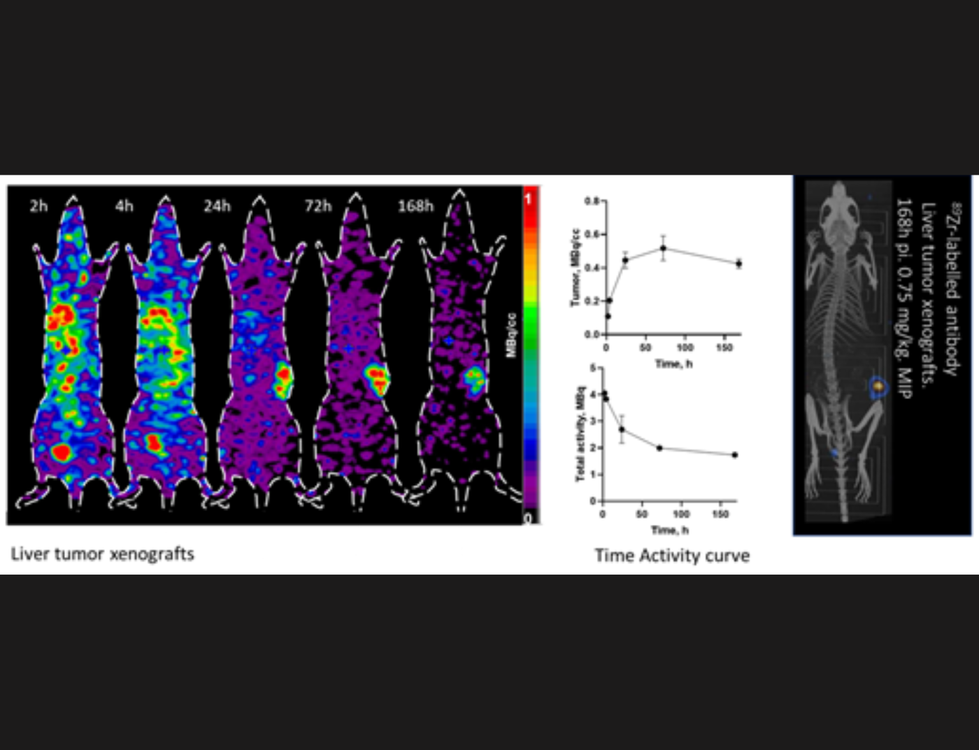 Preclinical Molecular Imaging in Radiopharmaceutical Development - Bioemtech | Enabling ...