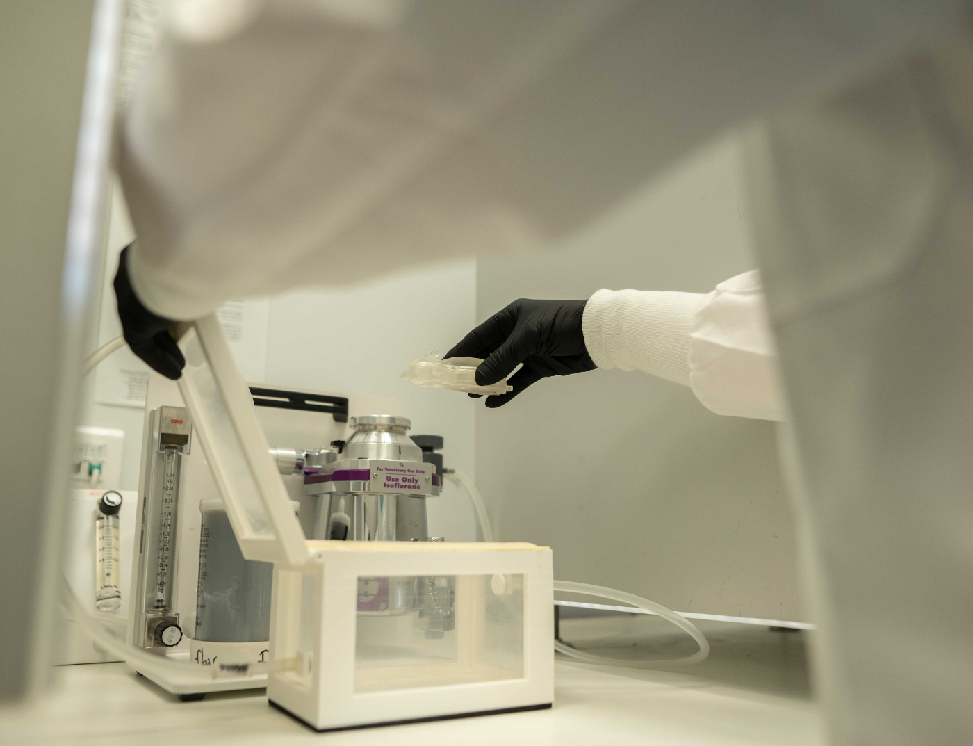 Disease Models - Bioemtech | Enabling radiopharmaceutical innovation ...