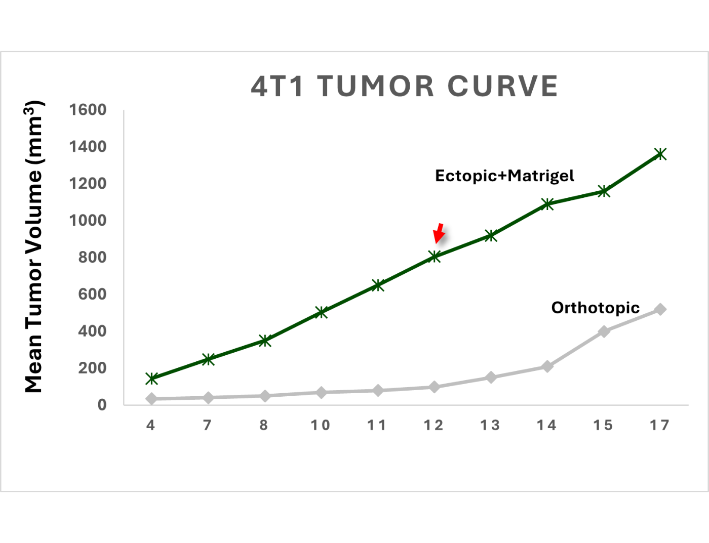 Breast cancer: 4T1 Syngeneic Mouse Model - Bioemtech | Enabling ...