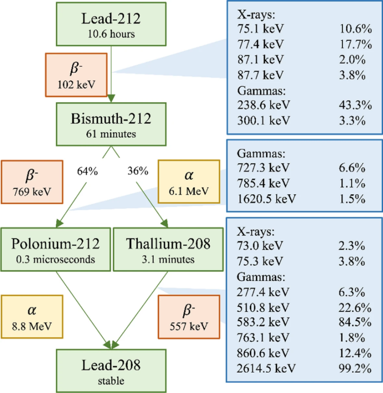 Lead-212: Unlocking the Potential of Targeted Alpha Therapy - Bioemtech ...